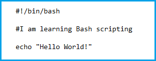 Bash Script: All You Need to Know | DiskInternals