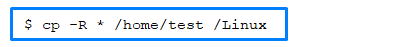 Copy command in shell scripts| DiskInternals
