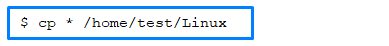 Copy command in shell scripts| DiskInternals