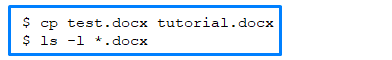 Copy command in shell scripts| DiskInternals