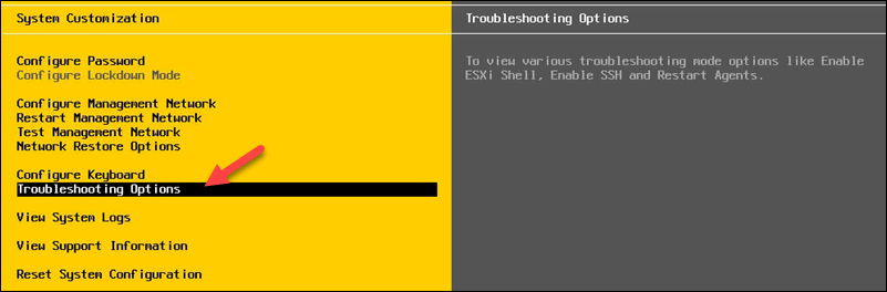 How to Enable SSH on a Virtual Server VMware ESXi⠀ | DiskInternals