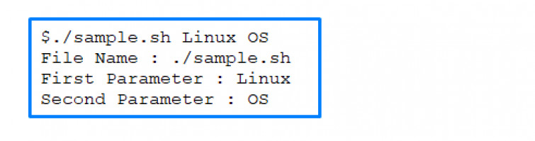Linux: $0 in a Shell Script| DiskInternals