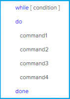 An Algorithm: How to Create Bash While Loop| DiskInternals