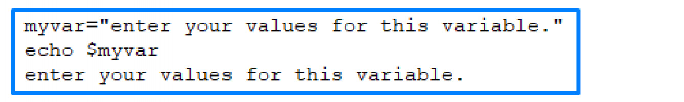About A Bash Export Command Diskinternals