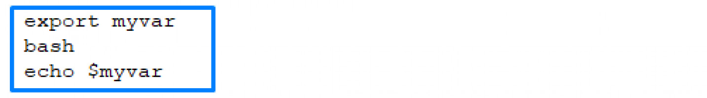 About a bash export command| DiskInternals