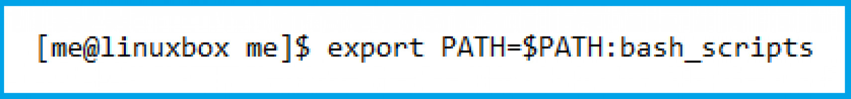 Bash Script: All You Need to Know| DiskInternals