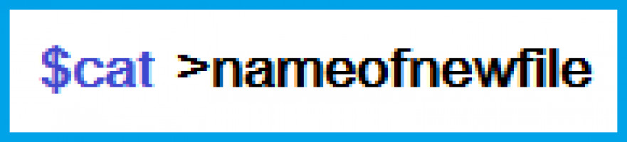 Bash Cat Command in Examples| DiskInternals