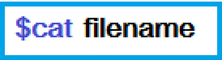 Bash Cat Command in Examples| DiskInternals