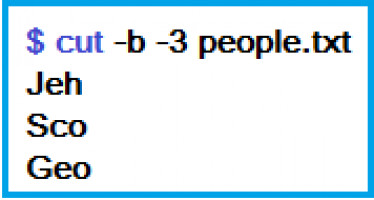 Shell Script Cut: Basic You Need to Know| DiskInternals