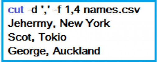 Shell Script Cut: Basic You Need to Know| DiskInternals