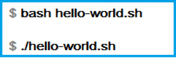 5 Basic Shell Script Examples For Your First Script DiskInternals
