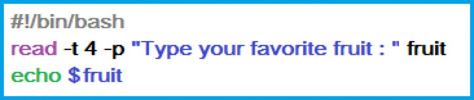 Bash: A Script For User Input| DiskInternals