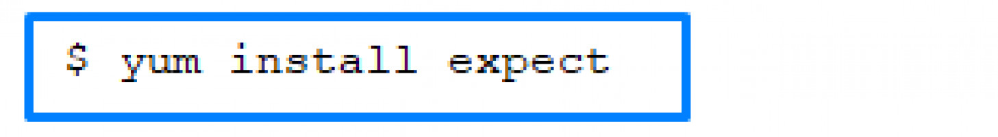 Examples of using the Expect| DiskInternals