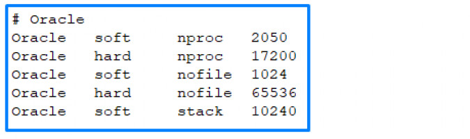Install Oracle Database| DiskInternals