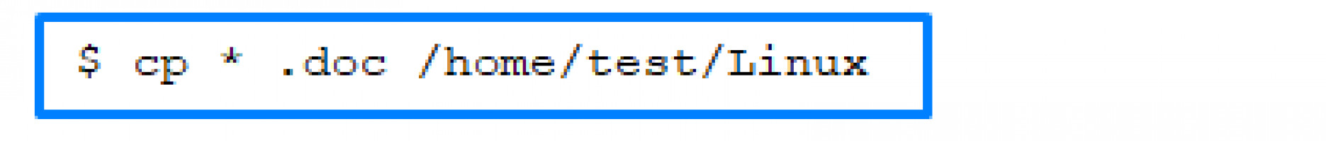 Copy command in shell scripts| DiskInternals