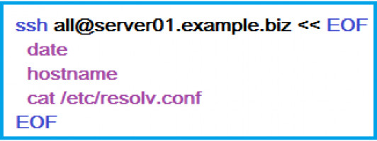 Bash Script SSH: How to Use It| DiskInternals Bash Script SSH: How to Use It| DiskInternals