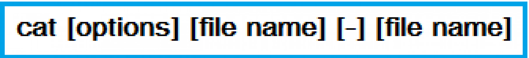 Bash Cat Command in Examples| DiskInternals